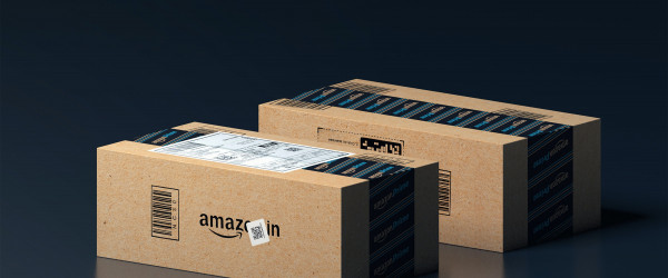 Should you choose an amazon professional seller or an agency?